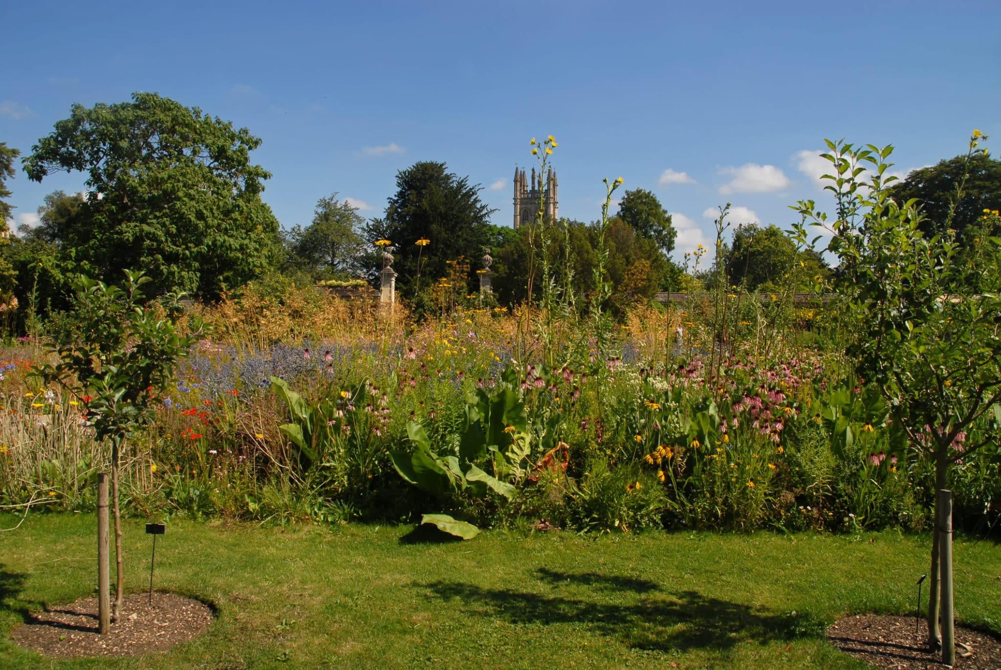 Lesson plan: the Oxford Botanic Garden e la biodiversità | MLA - Move ...